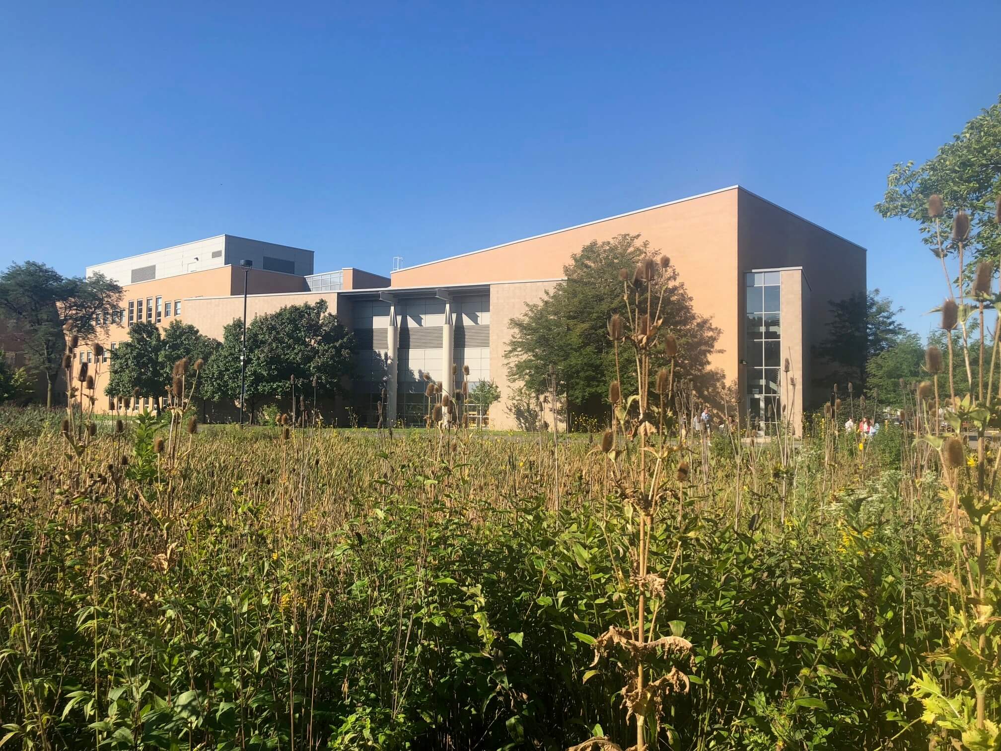 Ayesha T. Qazi – Northside College Preparatory High School – Chicago ...